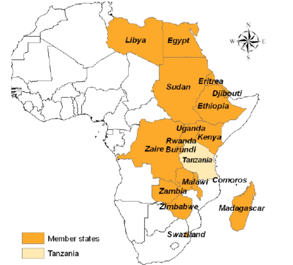 New 19-state Upper FIR planned for Africa – International Ops 2025 ...
