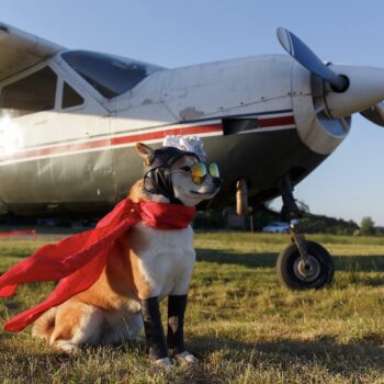 Another Pakistan overflight route reopens – International Ops 2021 ...