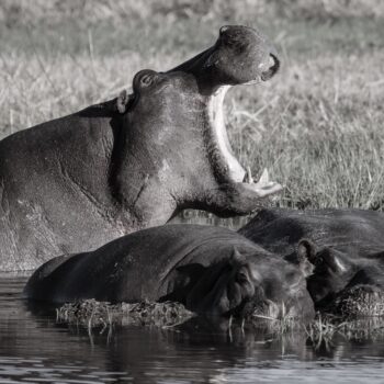 2016 16th Edition: ICAO Doc 4444 – PANS-ATM, Procedures for Navigation ...