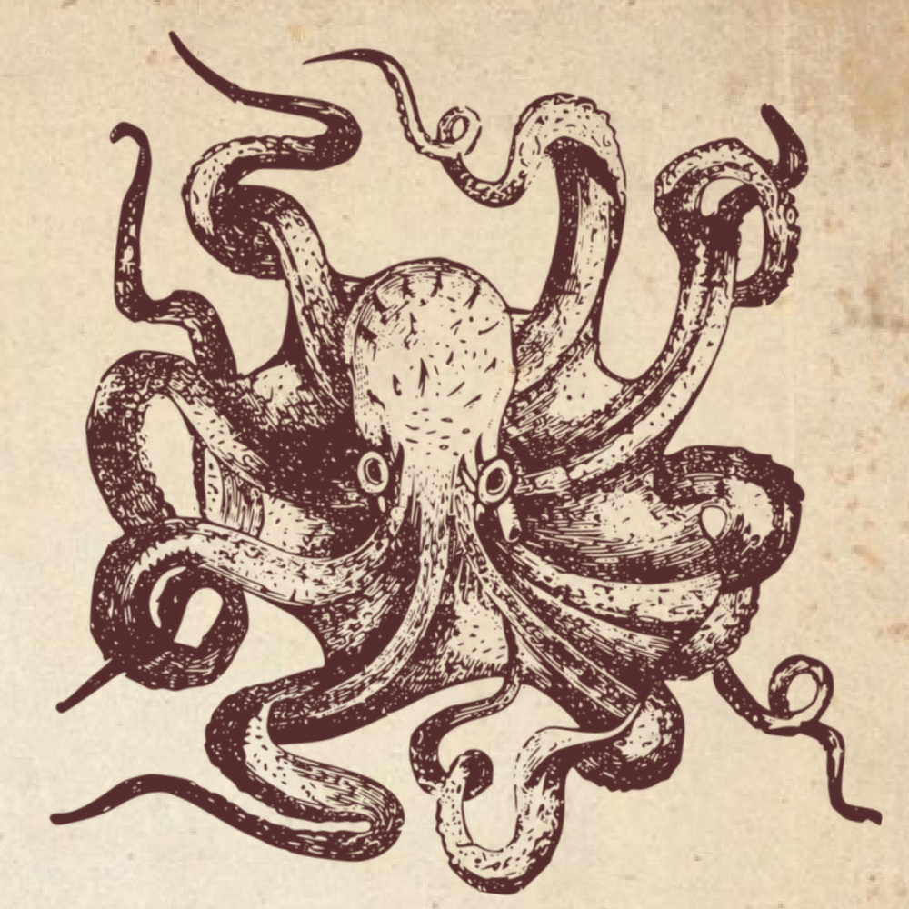 PIREPs of the Caribbean – International Ops 2025 – OPSGROUP