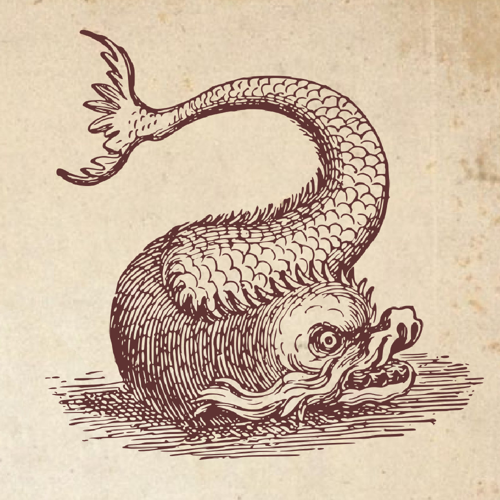 PIREPs of the Caribbean – International Ops 2025 – OPSGROUP