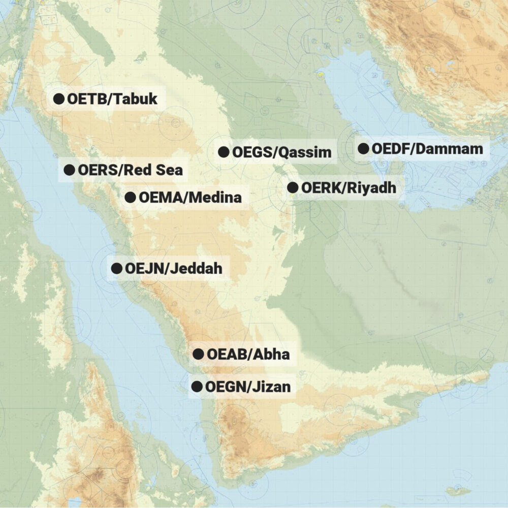 Making a Ramp Check painless (with checklist) – International Ops 2025 ...